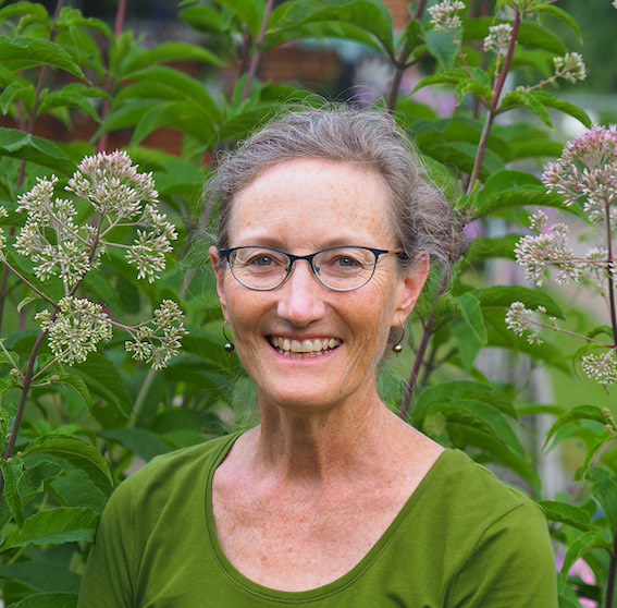 About – Wild Bee Plantings